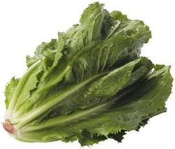 Fresh Vegetables