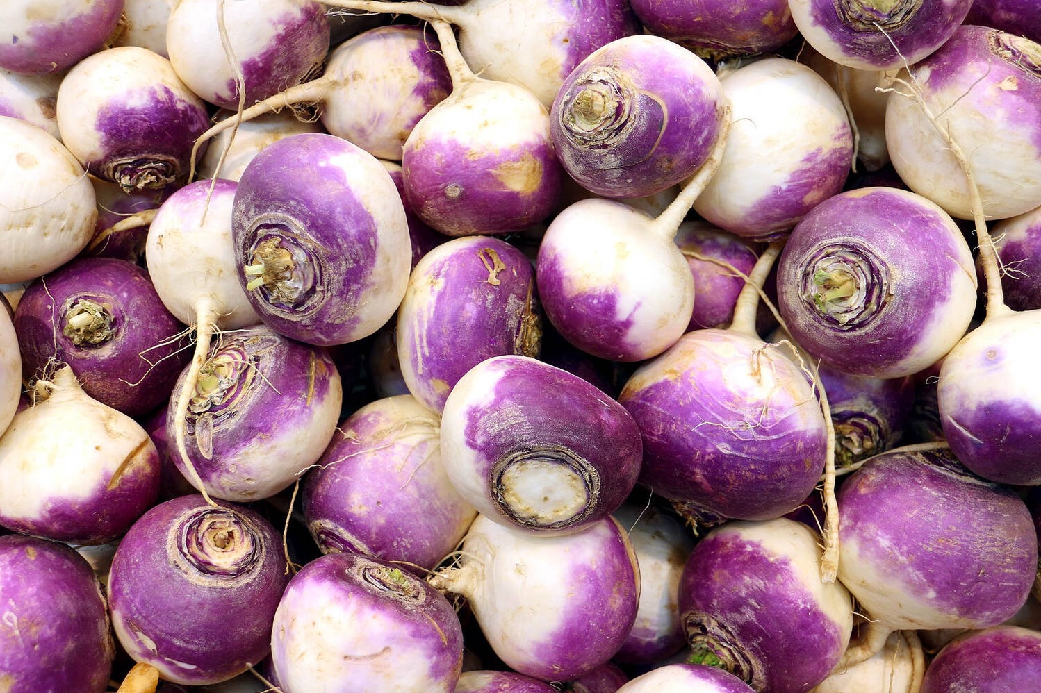Spring Turnips 1 kg