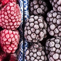 Diepvries Schulz Rijnvaart