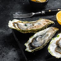 Fish / Frozen / Seafood Schulz Rijnvaart